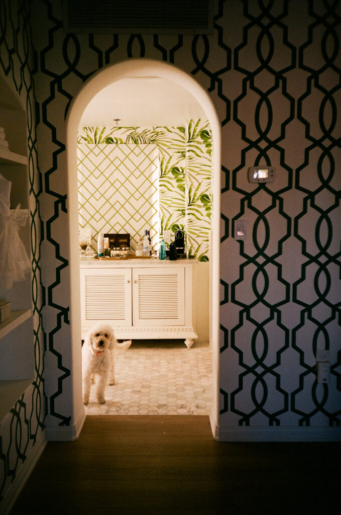 Tropical Black Tie Wedding at the Colony Palms Hotel in Palm Springs